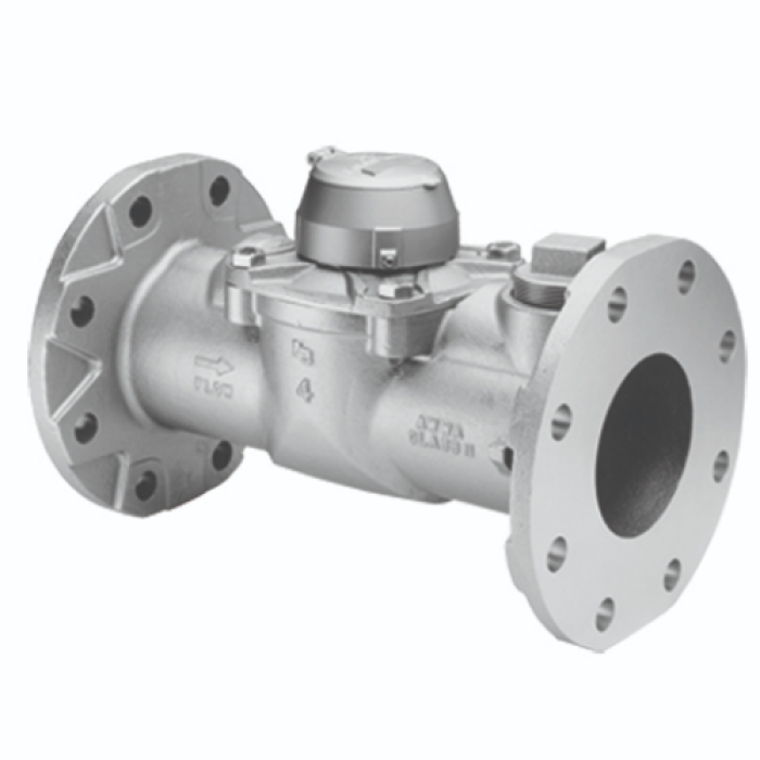 Badger BGR-RT-0800BRWPNSC-TS-GA-XXXX Turbo Flow Meter | Badger Turbo F